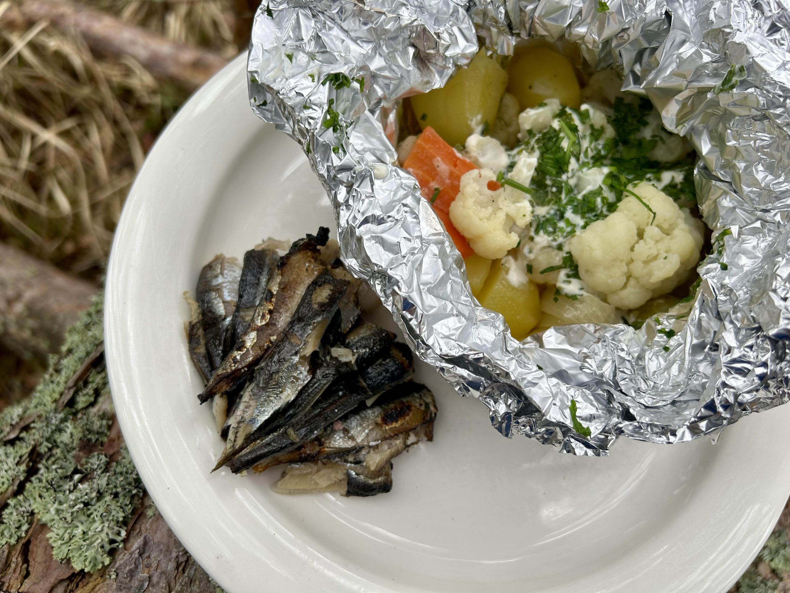 Halsterisilakat ja kasvisnyytit - Kalaruoka