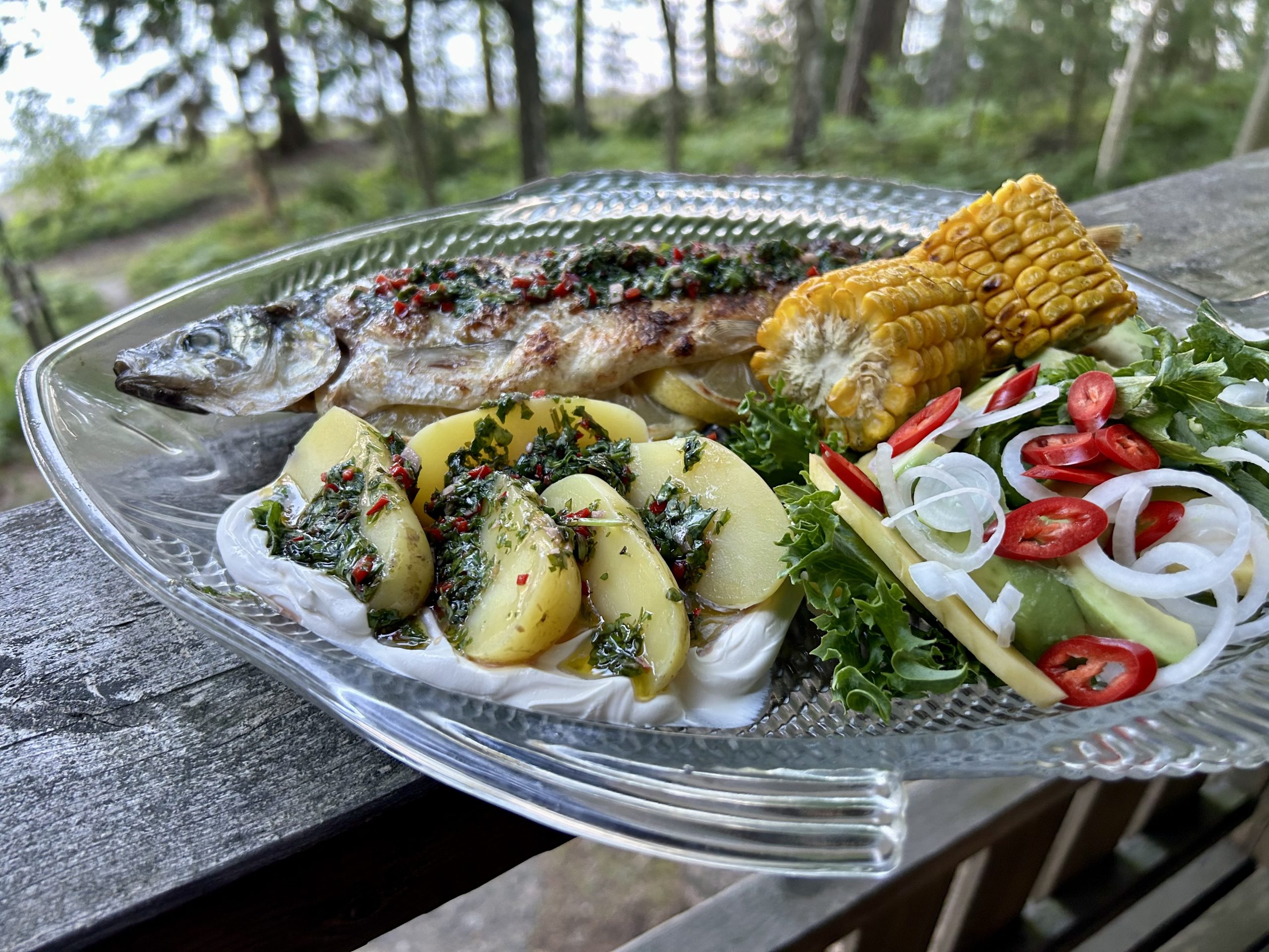 Grillattua siikaa ja chimichurri-kastiketta - Kalaruoka